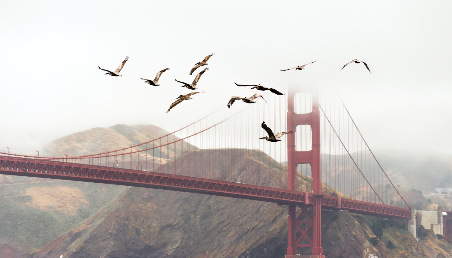 How To Migrate From WordPress To Hugo Steps Kamaths